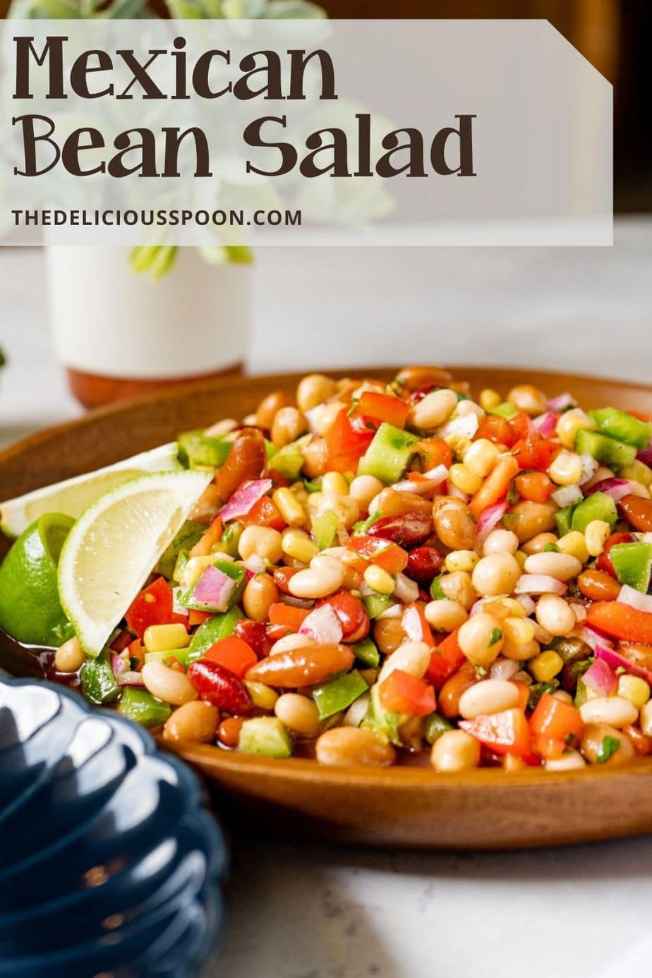 Quick and Easy Mexican Bean Salad Recipe