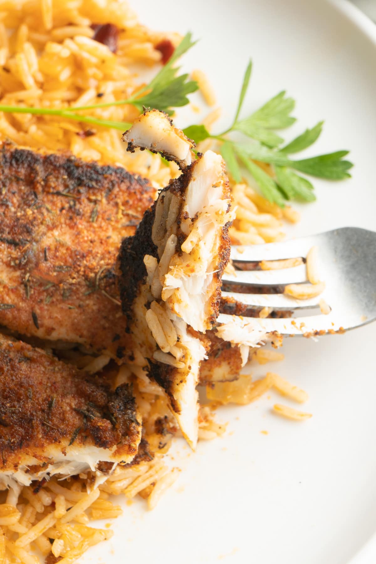Simple Pan-Fried Cajun Style Blackened Fish