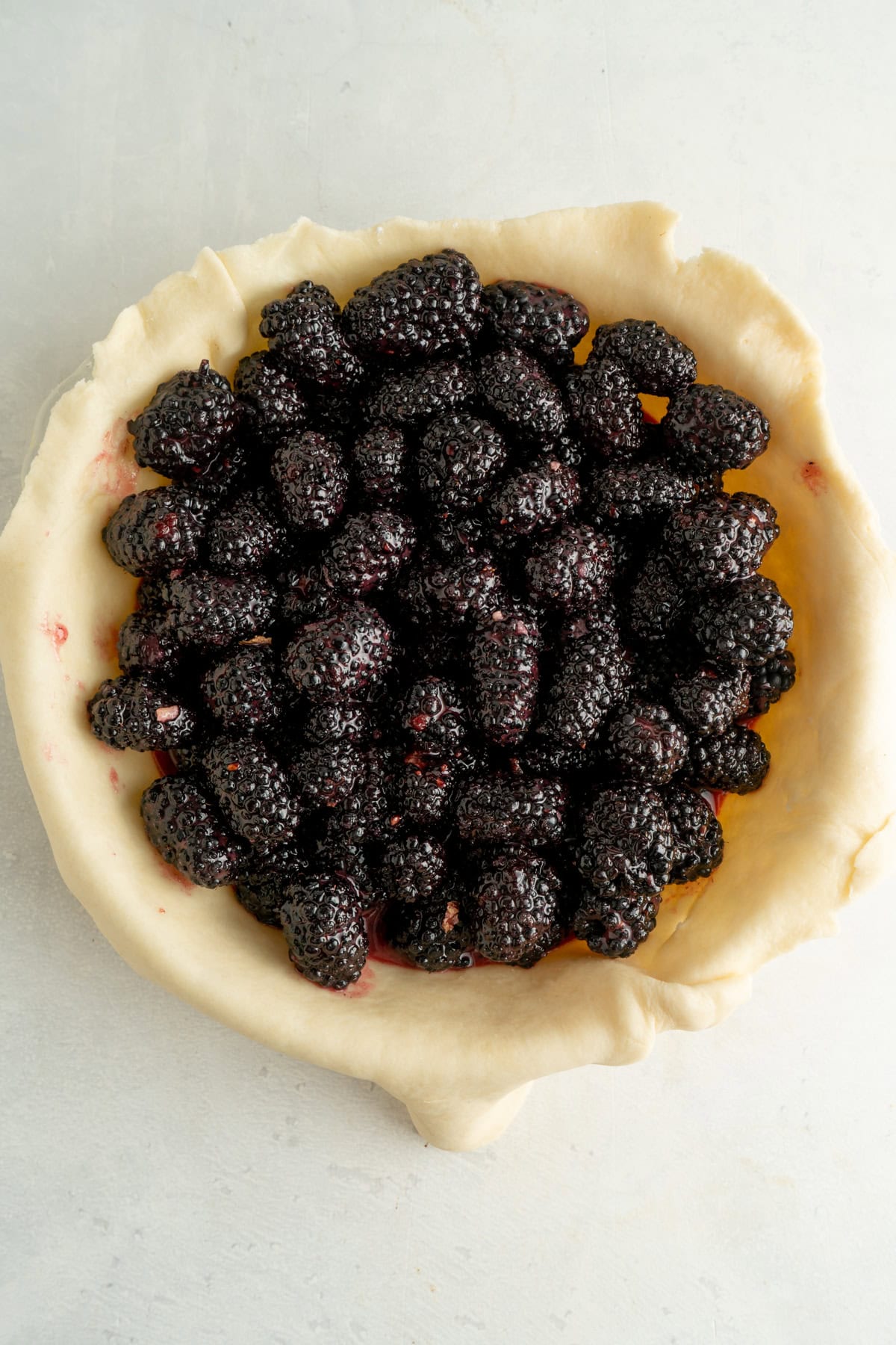 An Easy Homemade Blackberry Pie Recipe - The Delicious Spoon