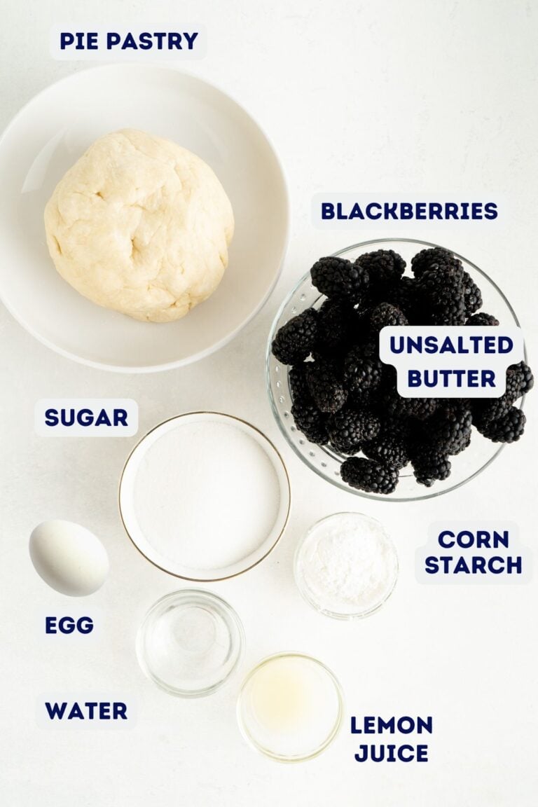 An Easy Homemade Blackberry Pie Recipe - The Delicious Spoon