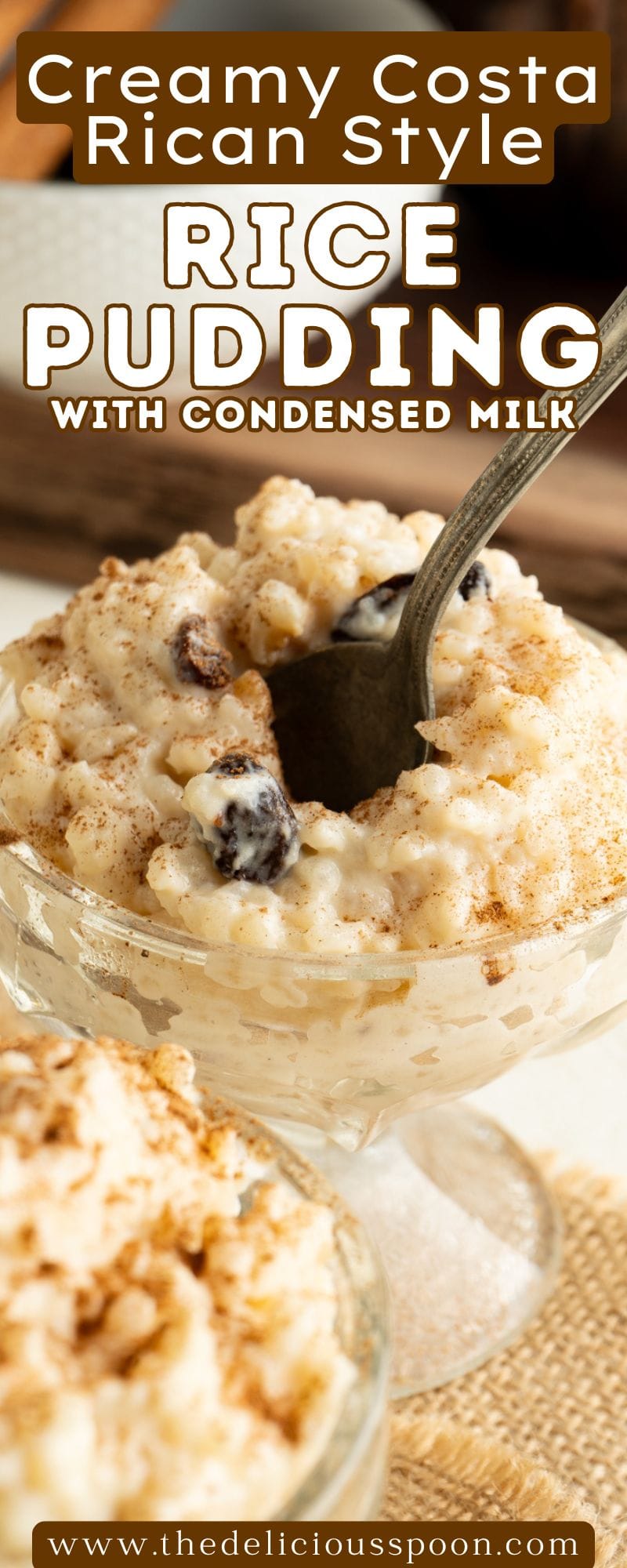 Creamy Rice Pudding With Condensed Milk- The Delicious Spoon