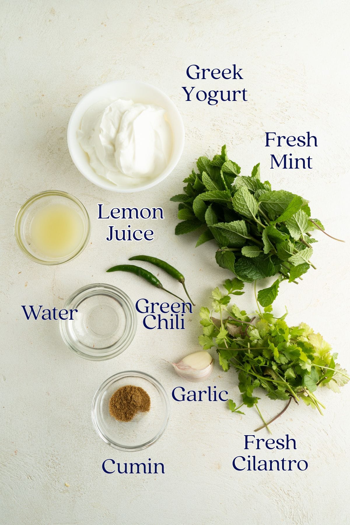 Mint Yogurt Sauce with Cilantro and Lemon- The Delicious Spoon